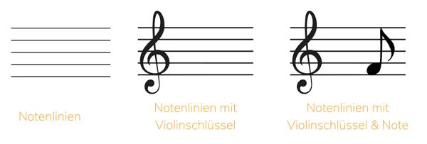 Noten lesen lernen: Grundlagen & Tipps